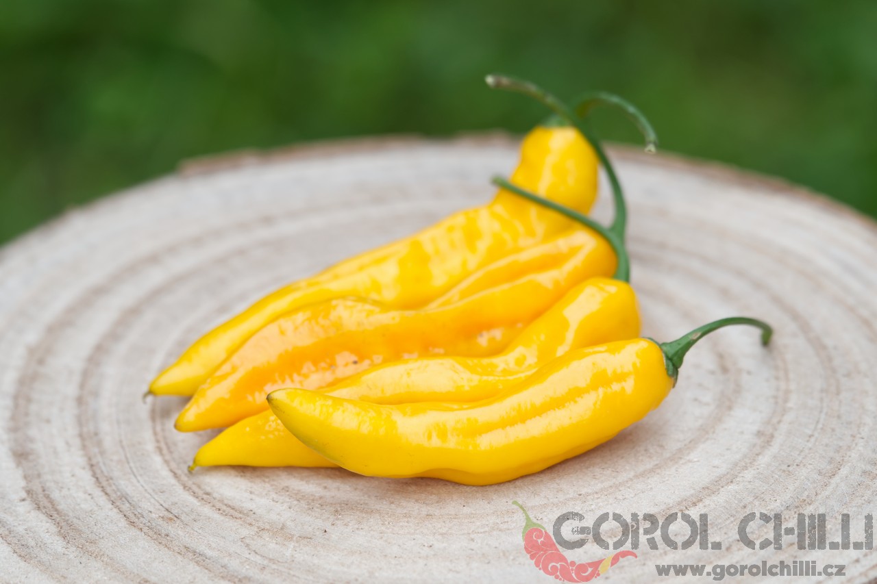 Pink Tiger x BBG 7 Pot pheno 3-2 | Chilli semena | Chilli semena ...