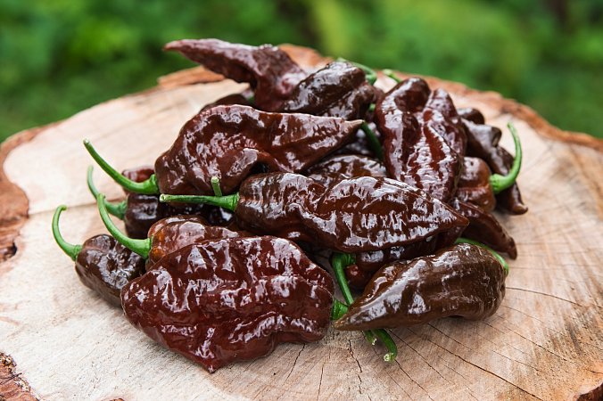 Black Naga | Chilli semena | Chilli semena | Chilli semínka | Chilli ...